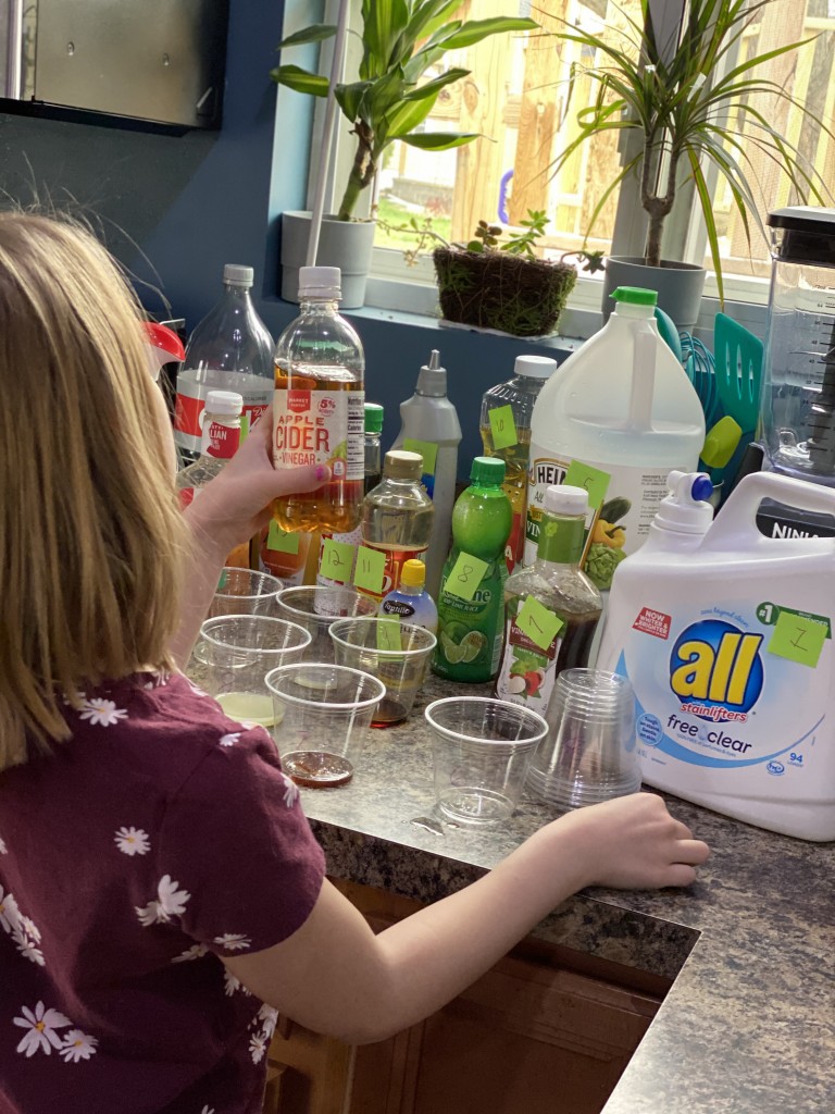 Home Schooling: Penny Cleaning Experiment – Life as Elle